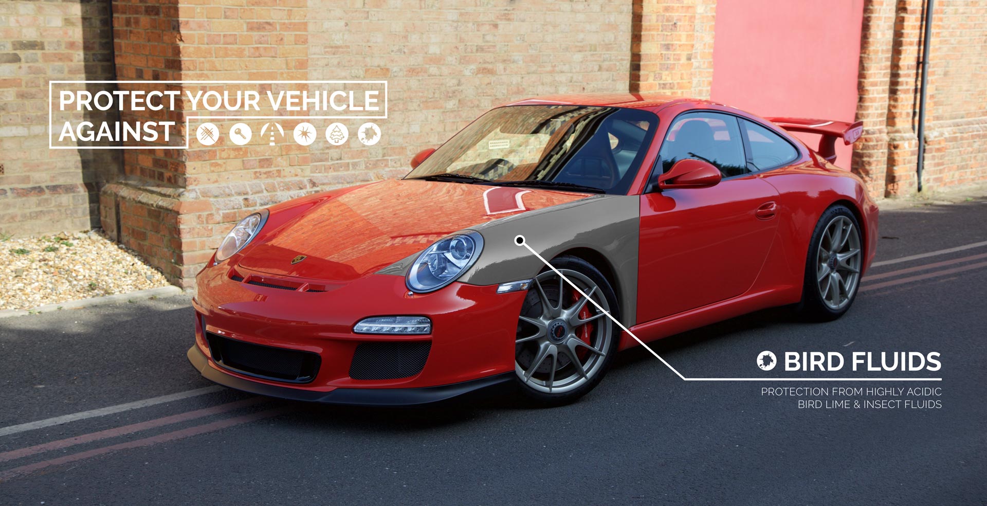 Home - Auto FX Paint Protection